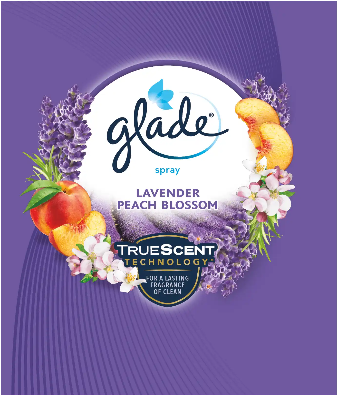 Glade - Bachman Brand Development - Design That Ignites Your Brand