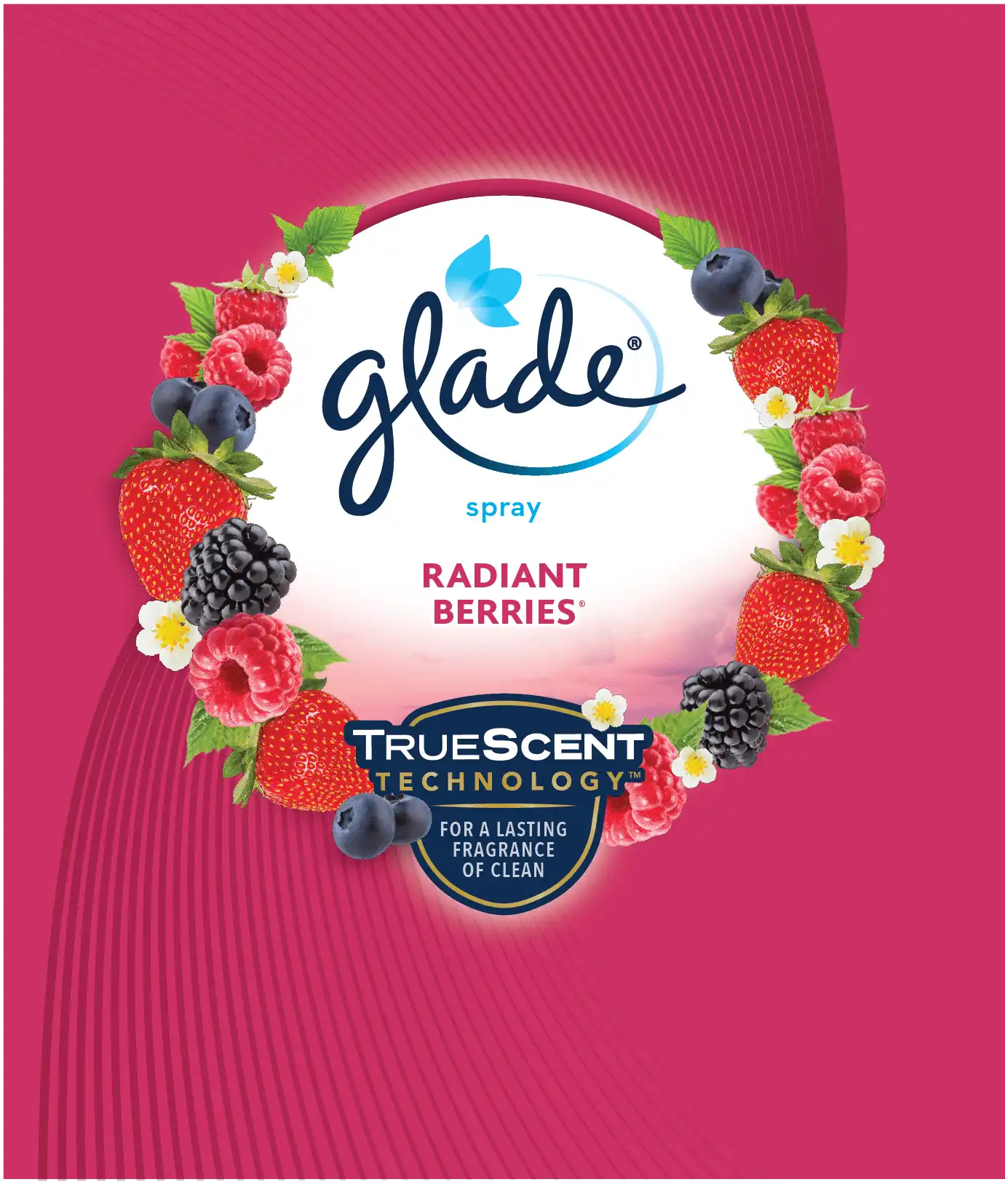 Glade - Bachman Brand Development - Design That Ignites Your Brand