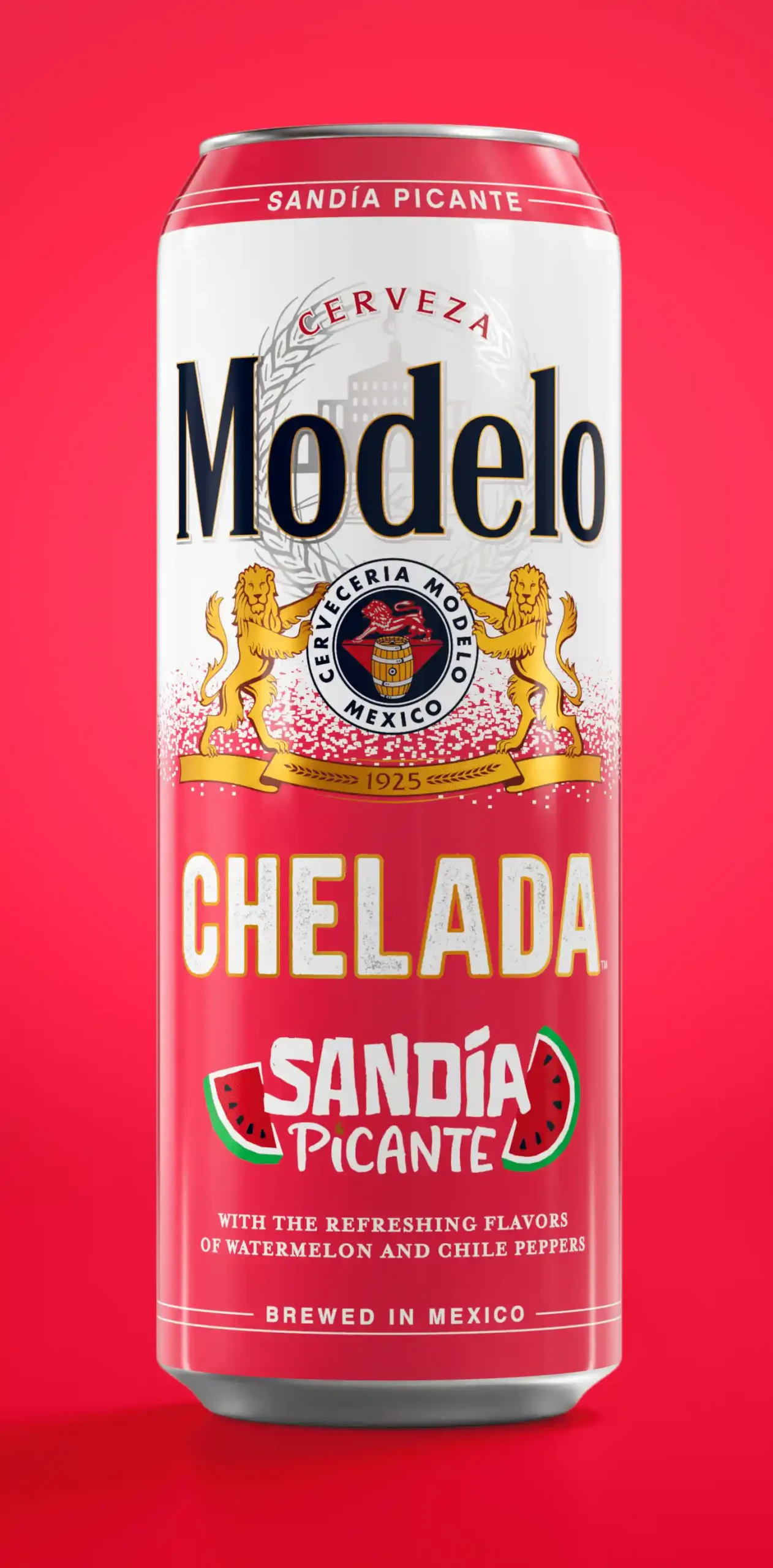 Modelo - Bachman Brand Development - Design That Ignites Your Brand