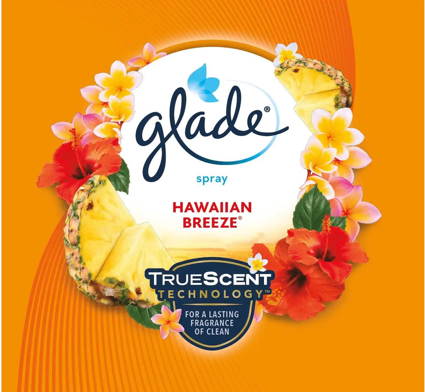 Glade - Bachman Brand Development - Design That Ignites Your Brand